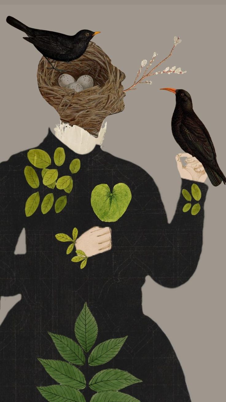 Digital Imaging & Illustration Creation - Metamorphosys